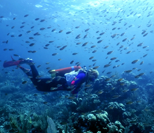 Key West Scuba Diving More Affordable Than Ever