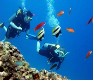 8 Reasons Why You Should Use a Buddy System